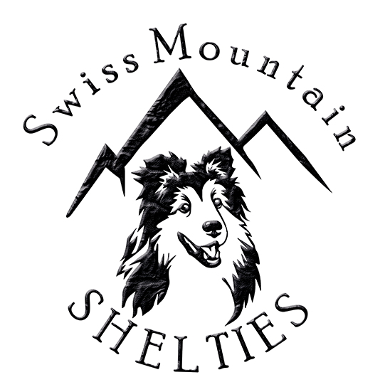 Swiss Mountain Shelties - Sheltie Züchter aus der Schweiz